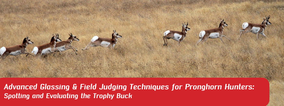 Advanced Glassing and Field Judging Techniques for Pronghorn Hunters ...
